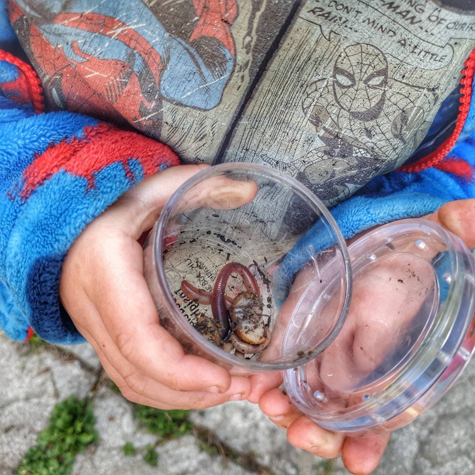 Home-schooling: Outdoor learning opportunities - Mummy Fever