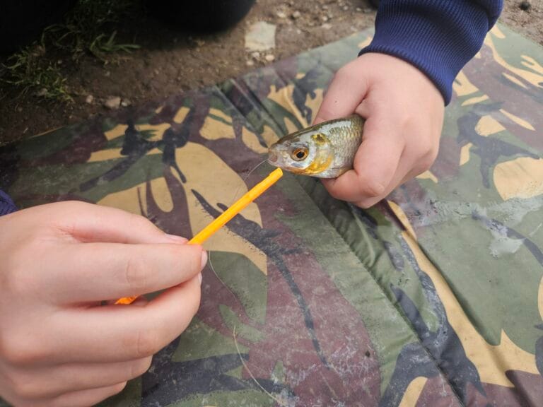 Getting Started with Float Fishing: A Brilliant Way to Connect with ...